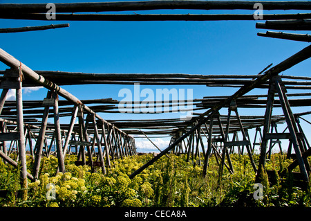 Fish drying racks along the shoreline in Akranes. West Iceland Stock ...