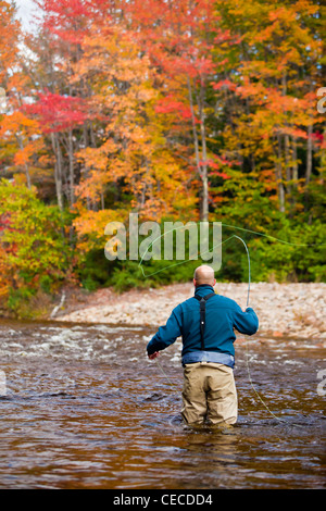 Person fishing on rocky riverbank with forested cliff in background. Li ...