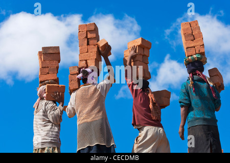 A labor carrying bricks to load on a truck at a brick factory on the ...