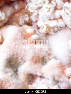 Colourful Mold On Yoghurt Stock Photo - Alamy