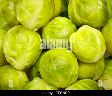 A closeup shot of green Brussels sprouts with small buds in local a ...