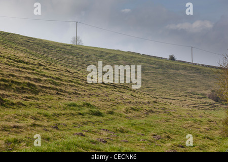 Possible example of solifluction (soil fluction), Dorset, England Stock ...