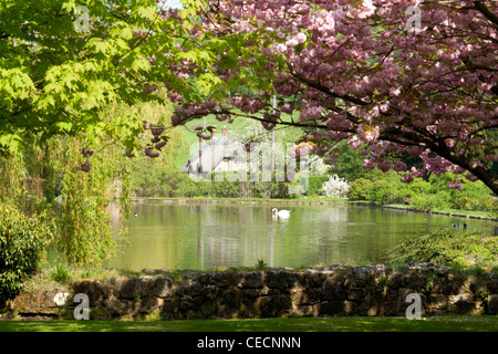 The duck pond in the village of Ansty in Wiltshire Stock Photo ...