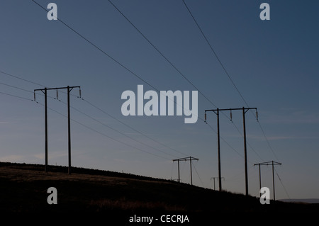 A vertical shot of utility poles over a beautiful background of a ...