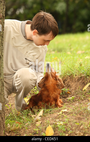 adorable male dachshund puppy on white background Stock Photo - Alamy