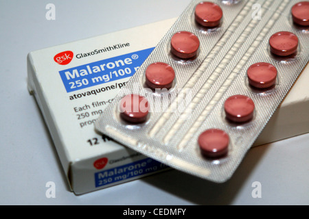 Malarone, anti malaria tablets, Malarone Stock Photo - Alamy