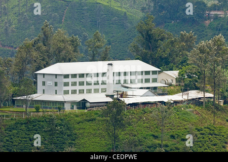 Newburgh tea factory and estate, Ella, Badulla District, Uva Province ...