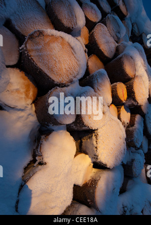 A stack or stockpile of spruce wood logs neatly piled. The logging ...