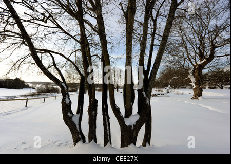 Akalla - a suburb of Stockholm, 10 km north of the city, Sweden Stock ...