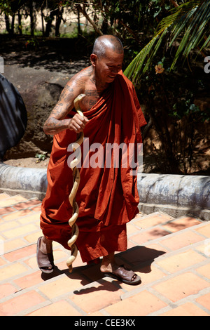 Monk with a Stick Stock Photo - Alamy