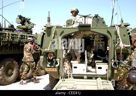 Soldiers from the 172nd Stryker Brigade Combat Team patrol Mosul Stock ...