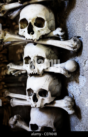 Czech. Skeleton. Halloween. Human body bones set. The grave. Area of ...