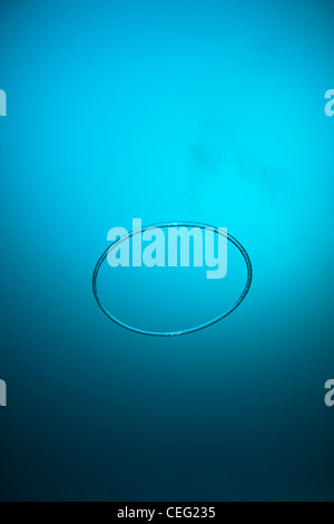 Bubble Ring Underwater, Ring Bubble Stock Photo - Alamy