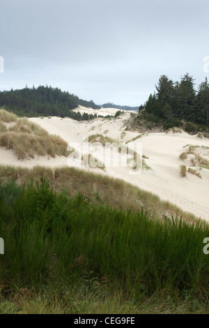 A view of the Oregon Dunes near Reedsport in Oregon, USA Stock Photo ...