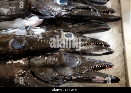 Espada (Black Scabbard) fish for sale, The fish market, Funchal ...