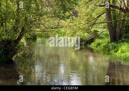 The River Nadder at Compton Chamberlayne in Wiltshire Stock Photo - Alamy