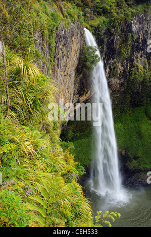 Bridal Veil Falls, near Raglan, Waikato, North Island, New Zealand ...