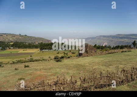 Countryside north of Addis Ababa on the top of the African Rift Valley ...