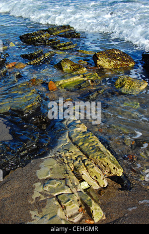 Tide Pool Point Dume Malibu California USA Stock Photo - Alamy