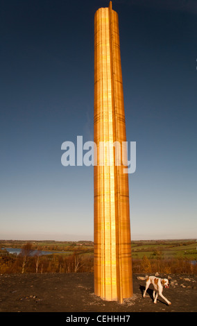 Golden Tower Art work Pooley Hall country park, Polesworth ...