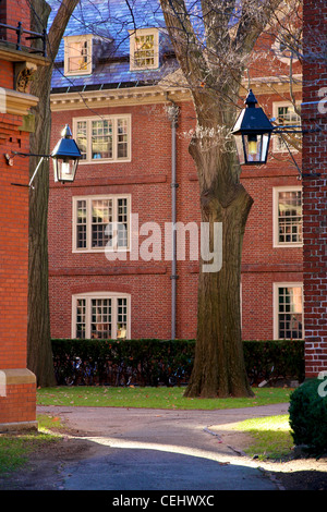Red brick dorm buildings at Harvard Yard, the old heart of Harvard ...