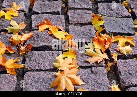 Tallinn: Autumn pavement Stock Photo - Alamy