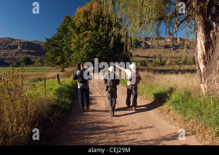 Hiking in Ficksburg area,Eastern Free State Province Stock Photo - Alamy