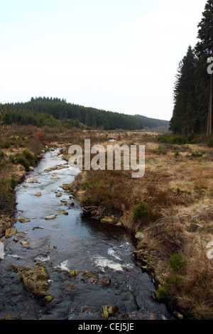 Haute Fagnes, Belgium Stock Photo - Alamy