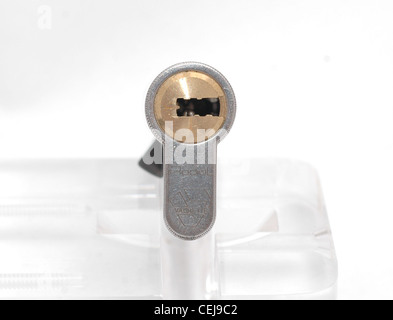 Vachette Radial NT Lock Stock Photo - Alamy