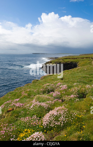 Coastal landscape on Papa Westray, a small island in the Orkney ...