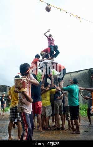 Govinda Dahi Handi ; human pyramid in process of breaking dahi handi ...