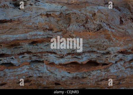 Grey and red mudstones make up the geology of the cliff-face near ...