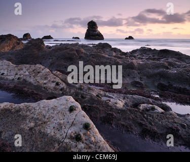 Jagged rocks jut out to sea along the rugged Alaskan coastline Stock ...