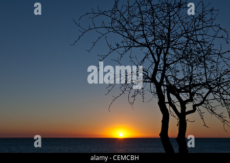 Sunset on Ankasy, southwestern Madagascar Stock Photo - Alamy