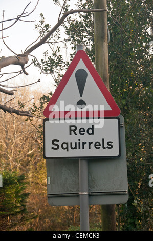 Red Squirrel warning road sign, Isle of Wight, Hampshire, England, UK ...