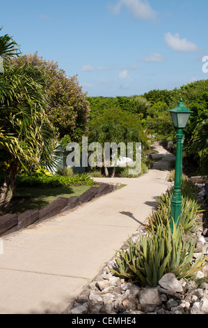 travel, hotel, aloe, tropical, resort, path, way, pathway, walk, go ...