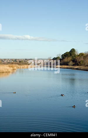 View of Radipole lake nature reserve in Weymouth, Dorset Stock Photo ...