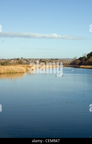 The RSPB: Radipole Lake nature reserve, inner harbour, Weymouth Dorset ...