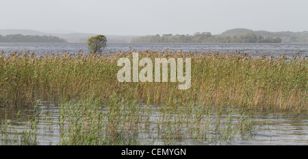 View of Lough Macnean Upper in Ireland Stock Photo - Alamy