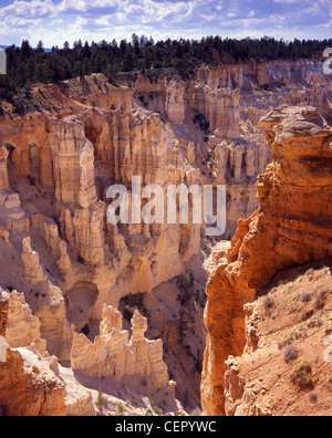 Bryce Canyon from the Windows Trail, Utah, USA Stock Photo - Alamy