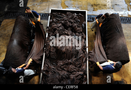 URUGUAY tannery Bader production of leather from cow skin for car seats ...