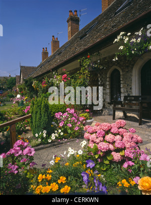 Flowers outside Devon Cottages. These cottages are in Branscombe, East ...