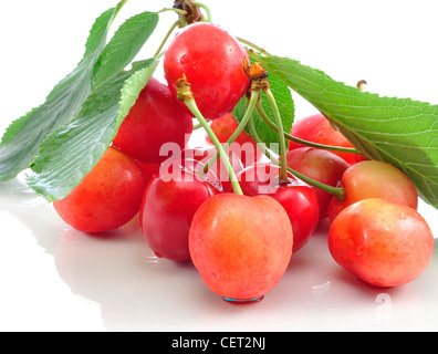 Close-up of tasty and healthy yellow sweet corn and corn in Can ...