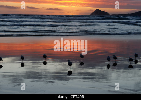 A dramatic sunset from Wilsons Promontory, Australia Stock Photo - Alamy