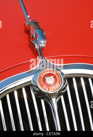 Close up of Jaguar, Goodwood festival of Speed Stock Photo - Alamy
