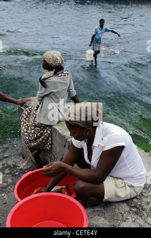 Fishmonger in Ponta do Sol, Santo Antao, Cape Verde Islands, Africa ...