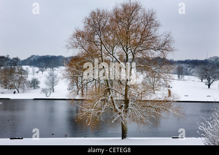 Frozen Lake, Hampstead Heath, London, England, UK Stock Photo - Alamy