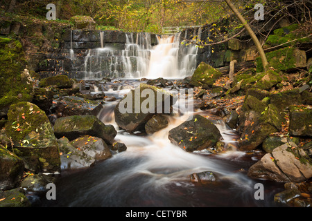 The tumbling waters of Mill Gill Force near Askrigg, North Yorkshire ...