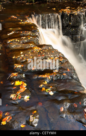 The tumbling waters of Mill Gill Force near Askrigg, North Yorkshire ...