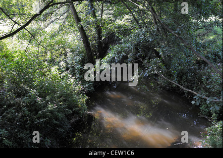 Compton Dando Bath and Northeast Somerset England UK Stock Photo - Alamy
